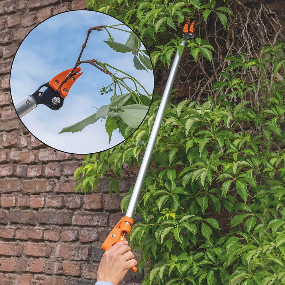 Sécateur XL à long manche | EUROtops.fr